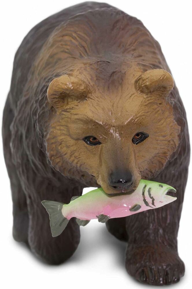 SAFARI GRIZZLY BEAR W FISH - Over the Rainbow
