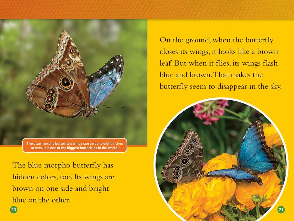 NGR NATIONALGEOGRAPHIC READERS ANIMALS CHANGE COLOR--LIBBY ROMERO ...